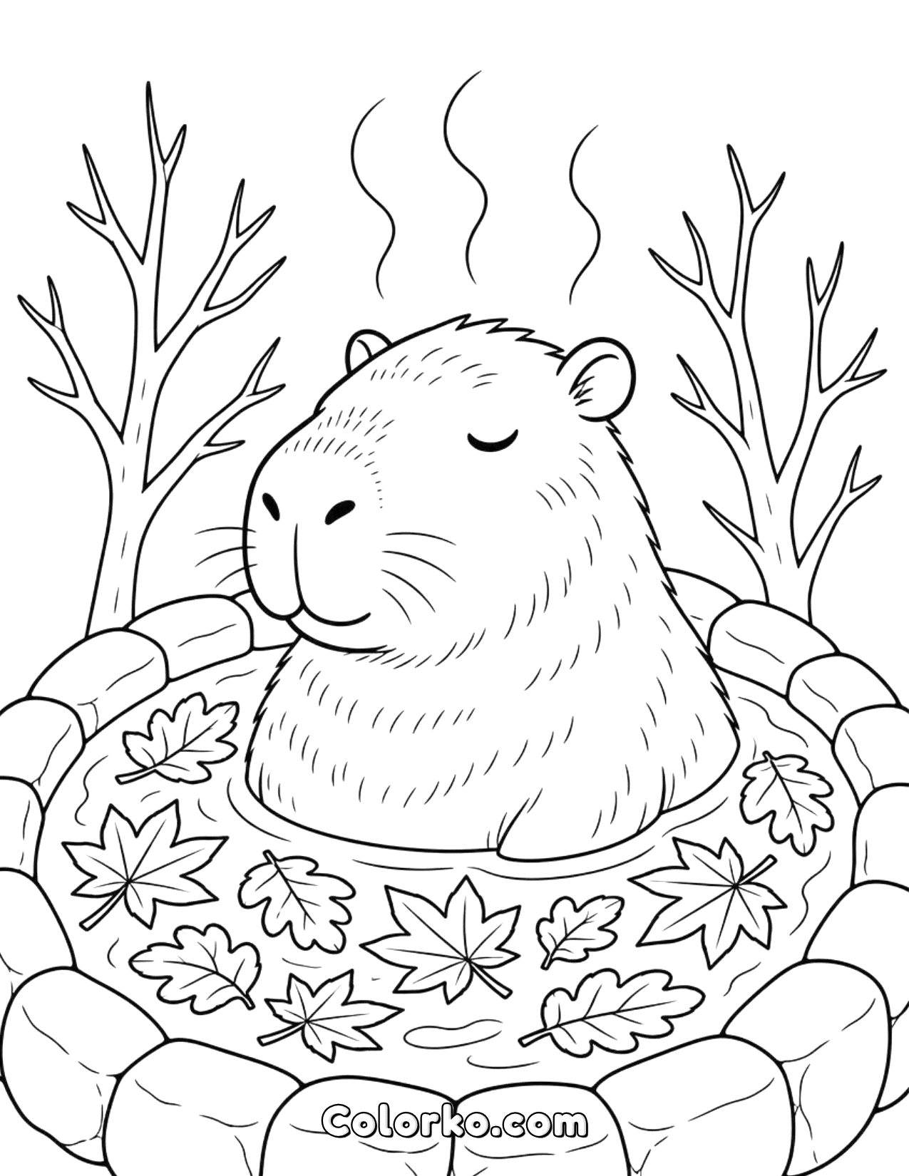 Fall Capybara Hot Spring Coloring Page | Colorko