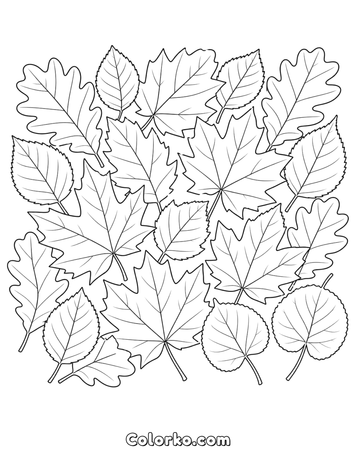 Free Detailed Autumn Leaves Coloring Page | Colorko